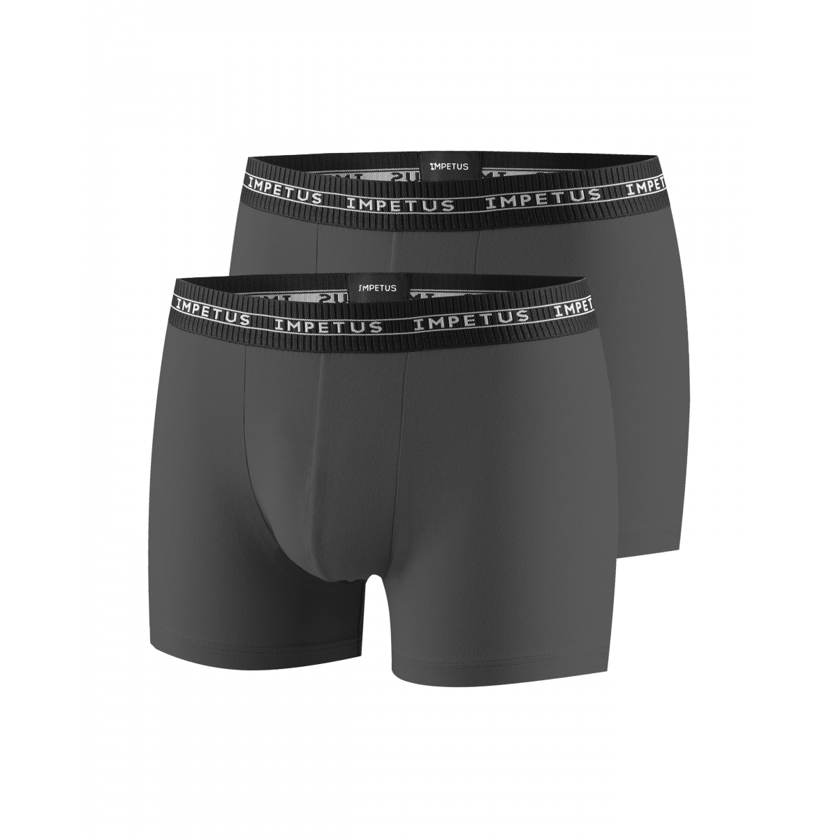 Lot 2 Boxers - 66E-P22066E-G07 | IMPETUS